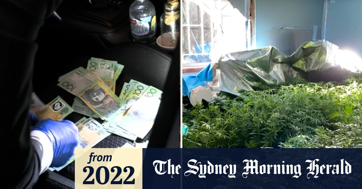 Video Three Real Estate Agents Charged Over Elaborate Cannabis Set Up